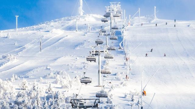 Activities | Lofsdalen