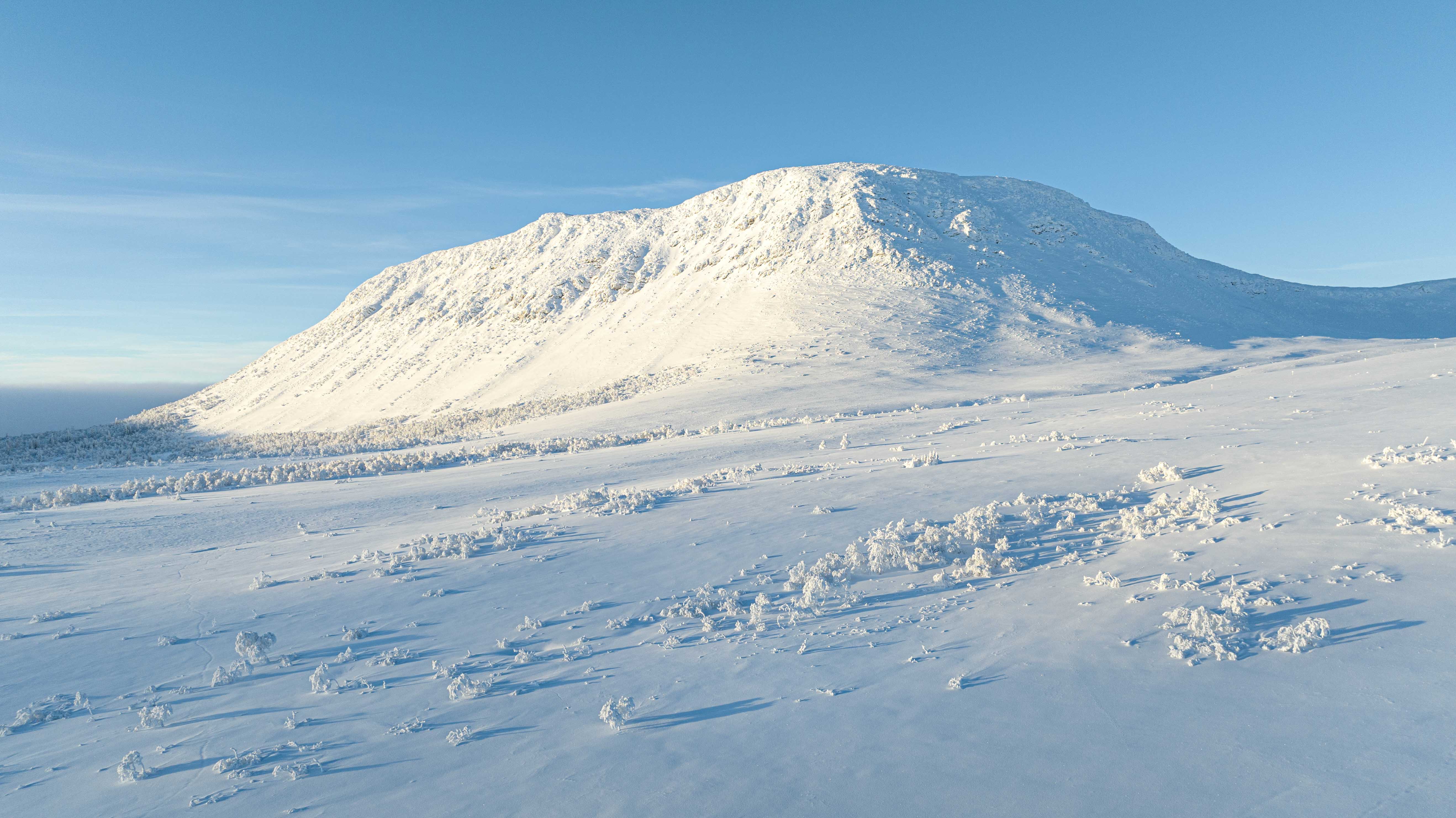 Lofsdalen Freeriders Championship 2024 | Lofsdalen