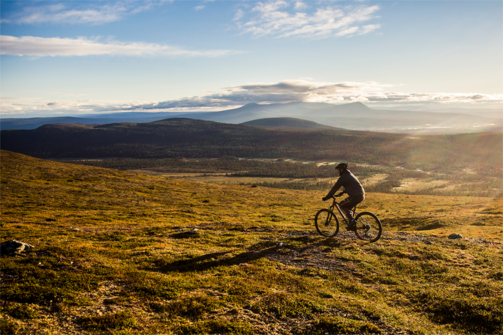 Projects in Lofsdalen | Lofsdalen