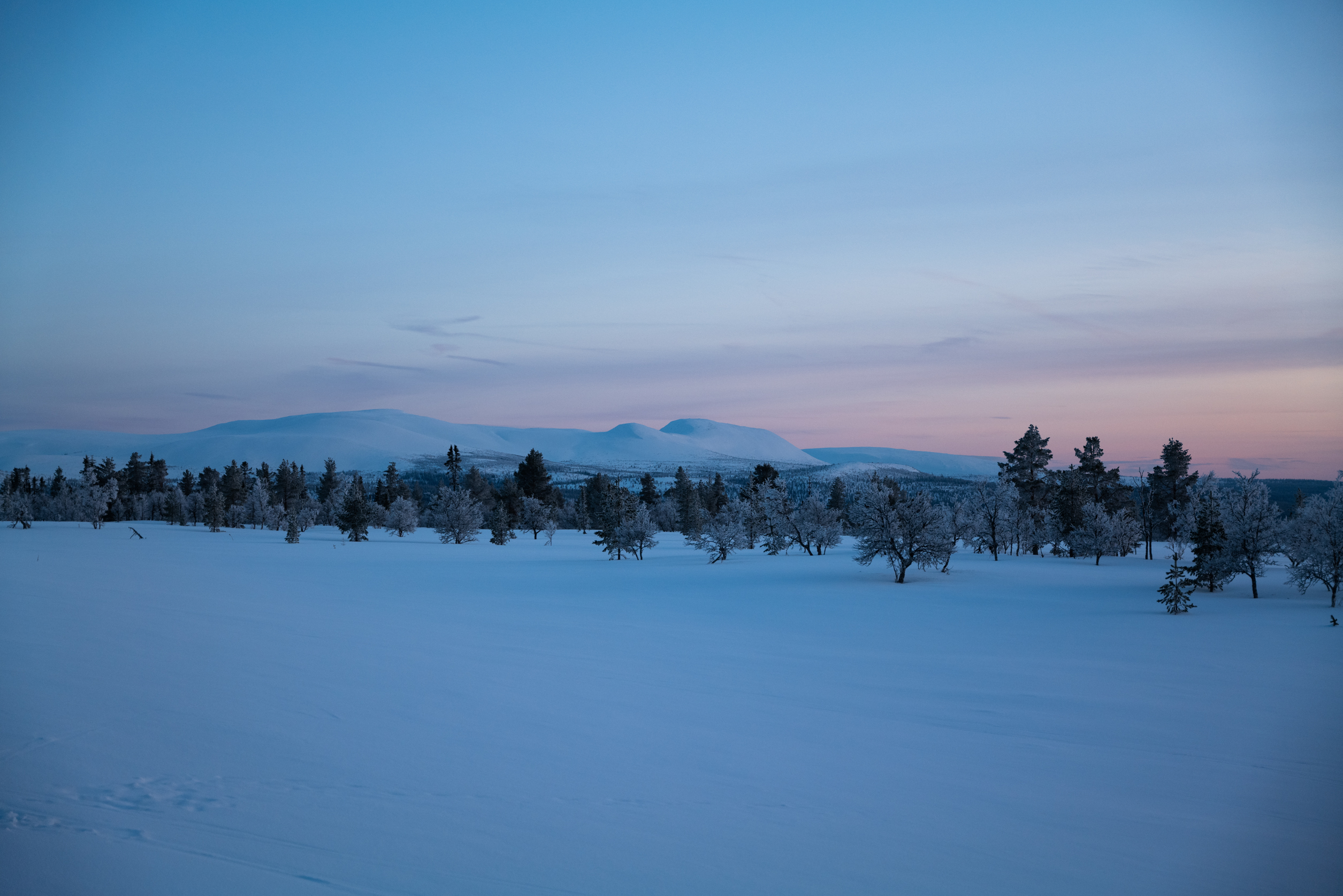 Ski trip in January | Lofsdalen