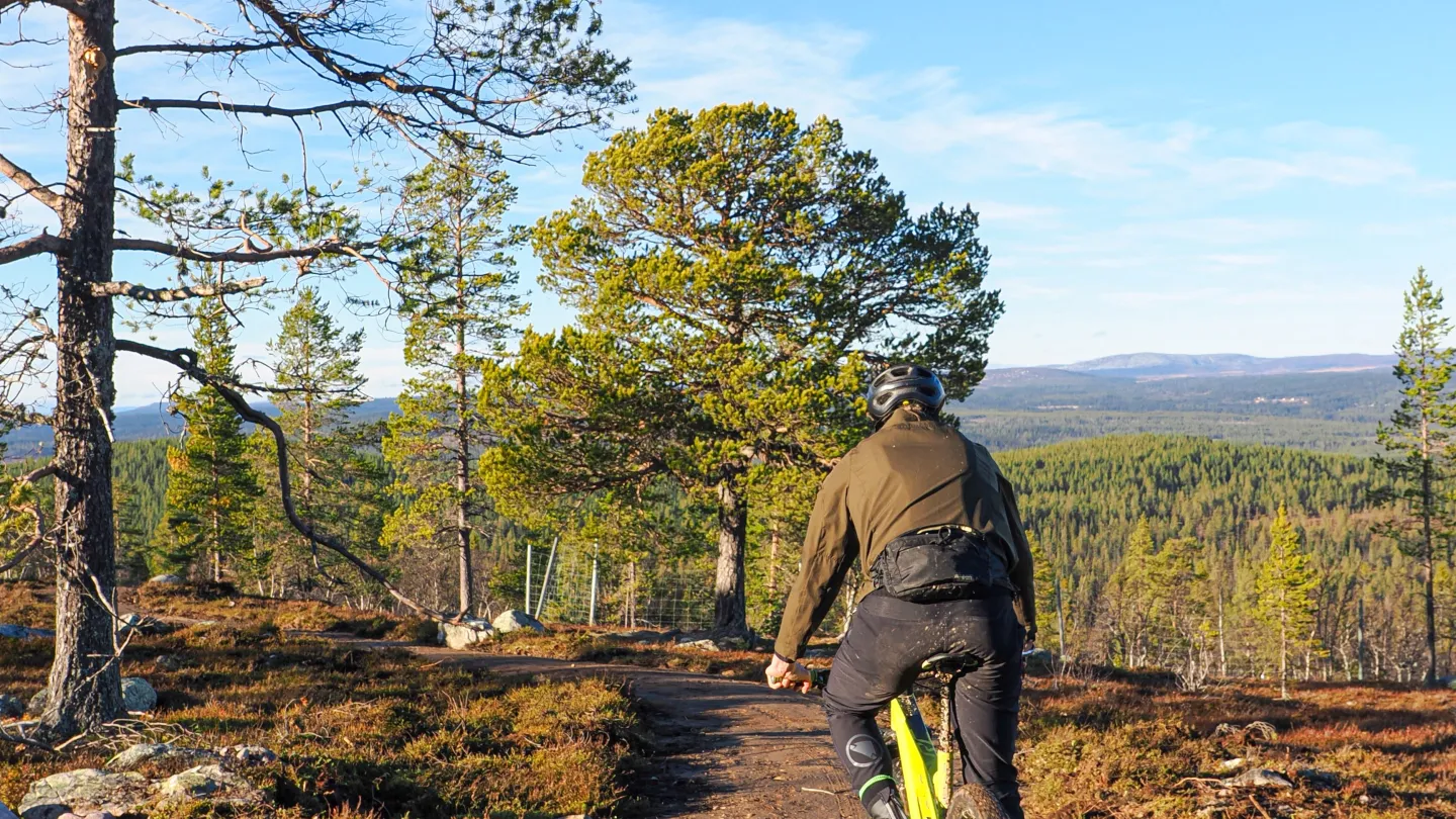 Waffle Trail | Lofsdalen